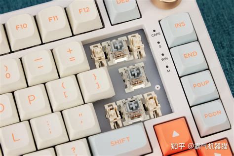 百元之下我无敌，百元之上一换一！极致性价比的客制化小键盘——vgn N75 双版本体验评测 知乎