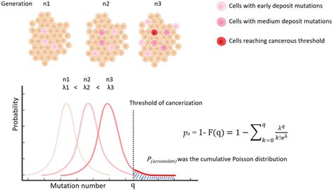 a poisson distribution based general model of cancer rates and a cancer