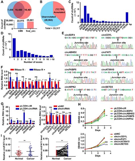 Circrna Profiling In A549 Luad Cells And Functional Screening Of