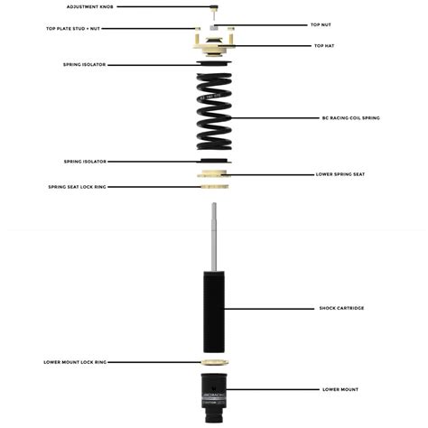 Bc Racing Br Series Coilover Kit Standard Springs 17 21 Civic Ty