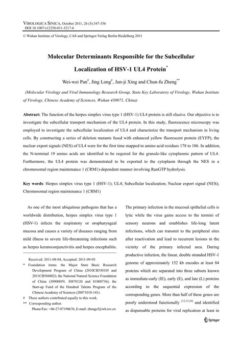Pdf Molecular Determinants Responsible For The Subcellular