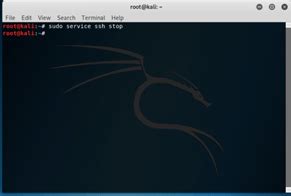 Kali Linux Ssh Learn How Does Ssh Work In Kali Linux