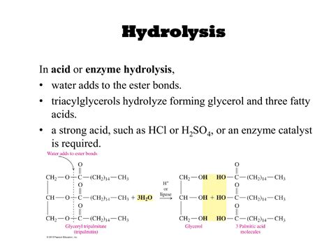 Chemical Equations Describes A Hydrolysis Reaction At Bradley Glatt Blog