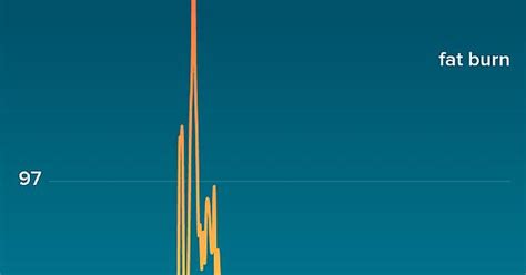My Fitbits Heart Rate Monitor Was Able To Pinpoint A Moment Imgur
