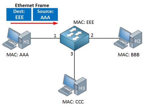 Introduction To Ethernet Lessons Discussion