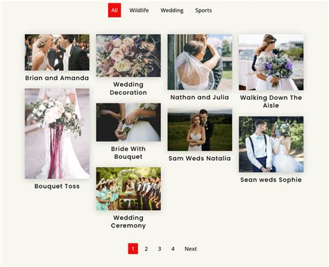 Whats A Filterable Gallery And How To Create One In Divi