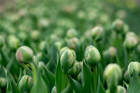 How To Create A Seaborn Correlation Heatmap In Python By Bibor Szabo Medium