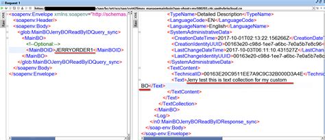 Step By Step To Enable Text Collection For Your Cu SAP Community