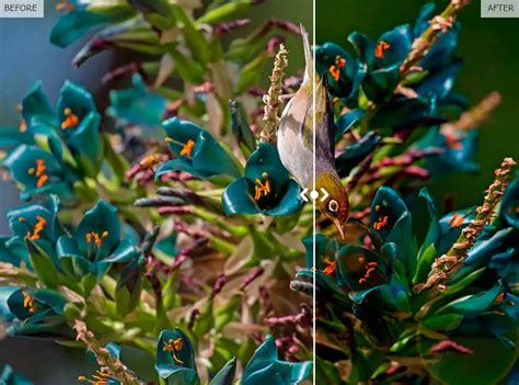 Smooth Touch Enabled Image Comparison Slider In Javascript Css Script