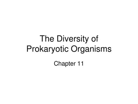 Ppt The Diversity Of Prokaryotic Organisms Powerpoint Presentation Free Download Id 1095882