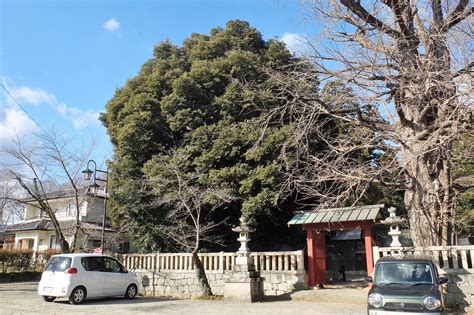 スダジイ貫前神社 為五郎の足跡