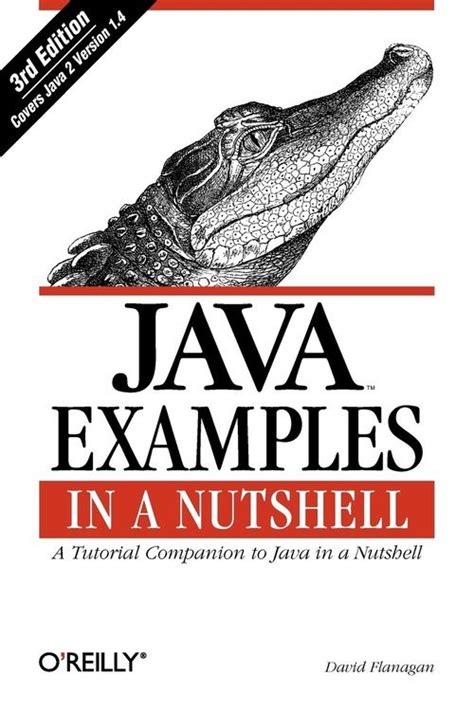Java Examples In A Nutshell Flanagan David Książka W Empik