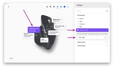 Configuring Logitech Mouses Polypane