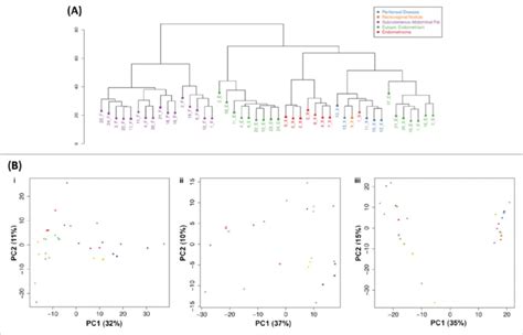 Variability In Dna Methylation Profiles From All 3 Tissues A