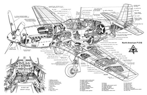 354th Fighter Group During Wwii