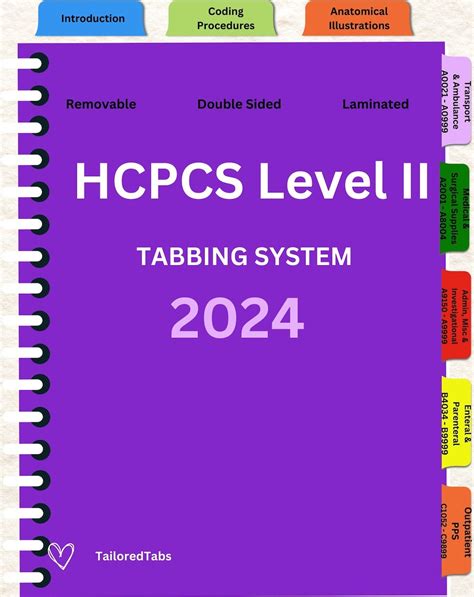 2024 Aapc Hcpcs Level Ii Tabbing System Etsy