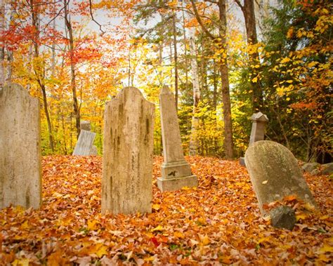 Guest Ghoul Cemetery Photography Tips — Spooky Little Halloween