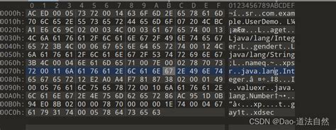 Day35：安全开发 Javaee应用and原生反序列化and重写方法and链条分析and触发类and类加载java原生序列化 Csdn博客