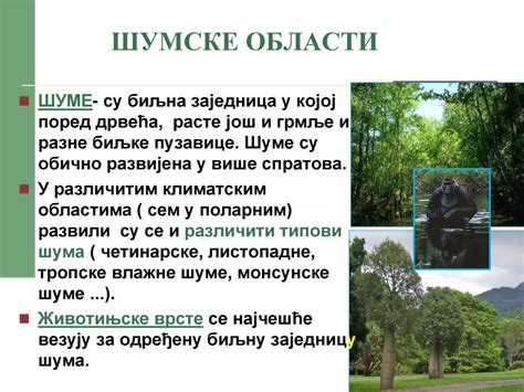 БИОСФЕРА - VI разред основне школе - - ppt скинути