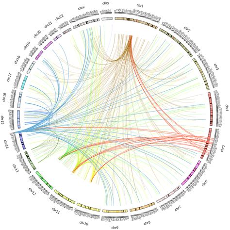 Circos Tutorials Recipes Variable Radius Link Ends Circos Circular Genome Data Visualization
