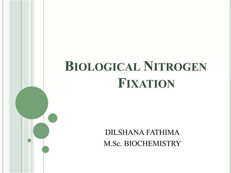 Biological Nitrogen Fixation Ppt