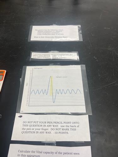 Lab Final Practical 2 Flashcards Quizlet