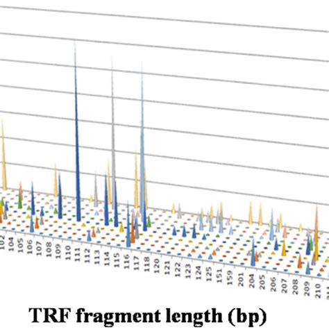 The Relative Content Of The Different Trf Fragment Lengths From The