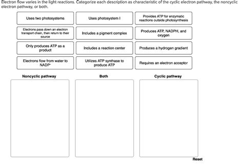 Electron Flow Varies In The Light Reactions Categorize Each Description As Characteristic Of