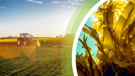 Water Use Efficiency What It Is And Why It Is Important