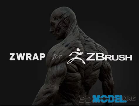 ZWrap Plugin For ZBrush D MODEL ORG D Models Textures For Design And Game Dev