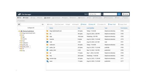 5 Cara Upload Web Ke Hosting Melalui Cpanel Dengan Mudah