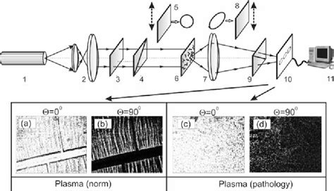 Figure 1 From Mueller Matrix Diagnostics Of Optical Properties Inherent
