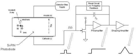 Silicon Diode Radiation Detector