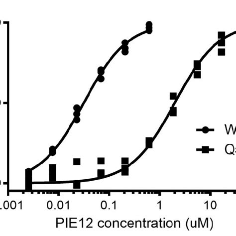 Protein Interaction Analysis Of Q577r Mutation Spr Equilibrium Binding