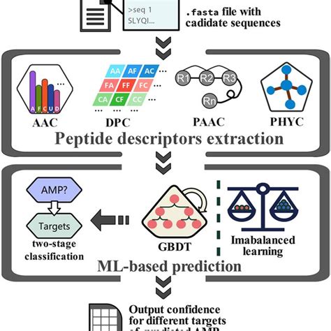The Schematic Framework Underlying Amp Target Prediction First The