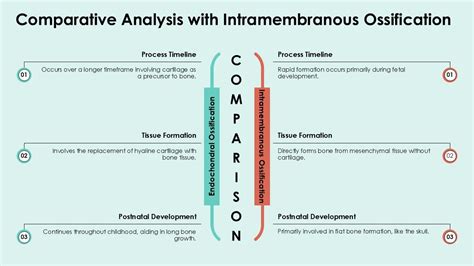 Endochondral Ossification Microscope Bony Spinules Ppt Graphics Acp Ppt Powerpoint