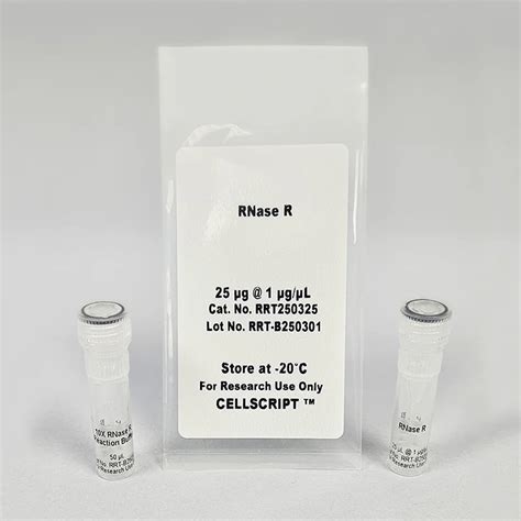 Rnase R ⋆ Cellscript™ Rnase R ⋆ Cellscript™