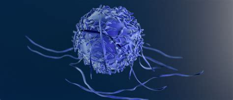 Asco23 Adjuvant Ribociclib Yields Promising Results For Early Stage