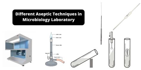 How To Use A Micropipette Biology Notes Online