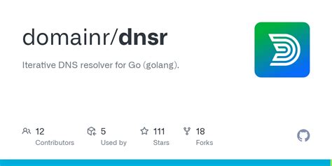 Github Domainrdnsr Iterative Dns Resolver For Go Golang