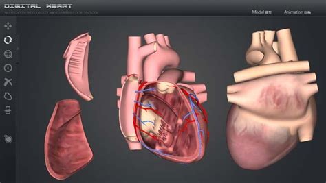 Translation Rotation Effect In The Toolbar Download Scientific Diagram
