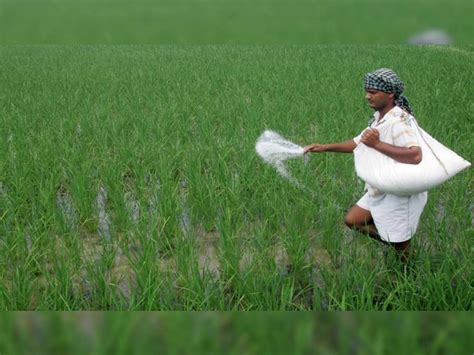 Budget 2023 24 Govt To Launch Pm Pranam Scheme To Promote Alternative Fertilisers