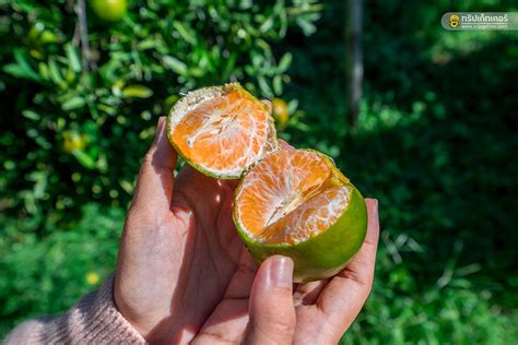 ทริป 2 วัน 1 คืน แอ่วเชียงใหม่ เช็คอินแม่แตง งบไม่แรงแถมเที่ยวได้ครบ