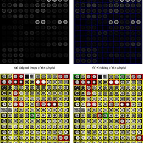11 Bootstrap Resampling Validation In This Illustration Each Download Scientific Diagram