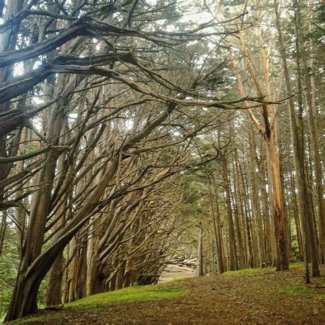 Photo By Moneal James V Fitzgerald Marine Reserve Near Half Moon Bay