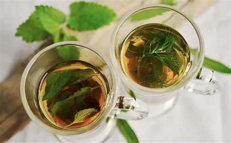 Foto Dos Claro Tazas De Té Té De Hierbas Hierbas Tee Menta Piqsels