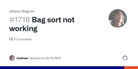 Bag Sort Not Working · Issue 1718 · Jaliborcbagnon · Github