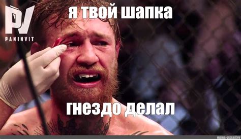 Сomics meme: "я твой шапка гнездо делал" - Comics - Meme-arsenal.com