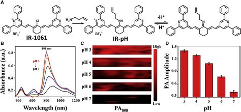 Near Infrared Organic Chromophores With Ph Sensitive Non Radiative Emission For Intelligent
