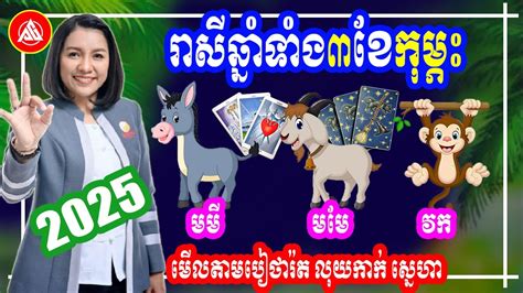 រាសីឆ្នាំទាំង៣ ប្រចាំខែកុម្ភៈ ឆ្នាំ២០២៥ មមី មមែ វក មើលតាមបៀថារ៉ត លុយកាក់ ស្នេហា Youtube